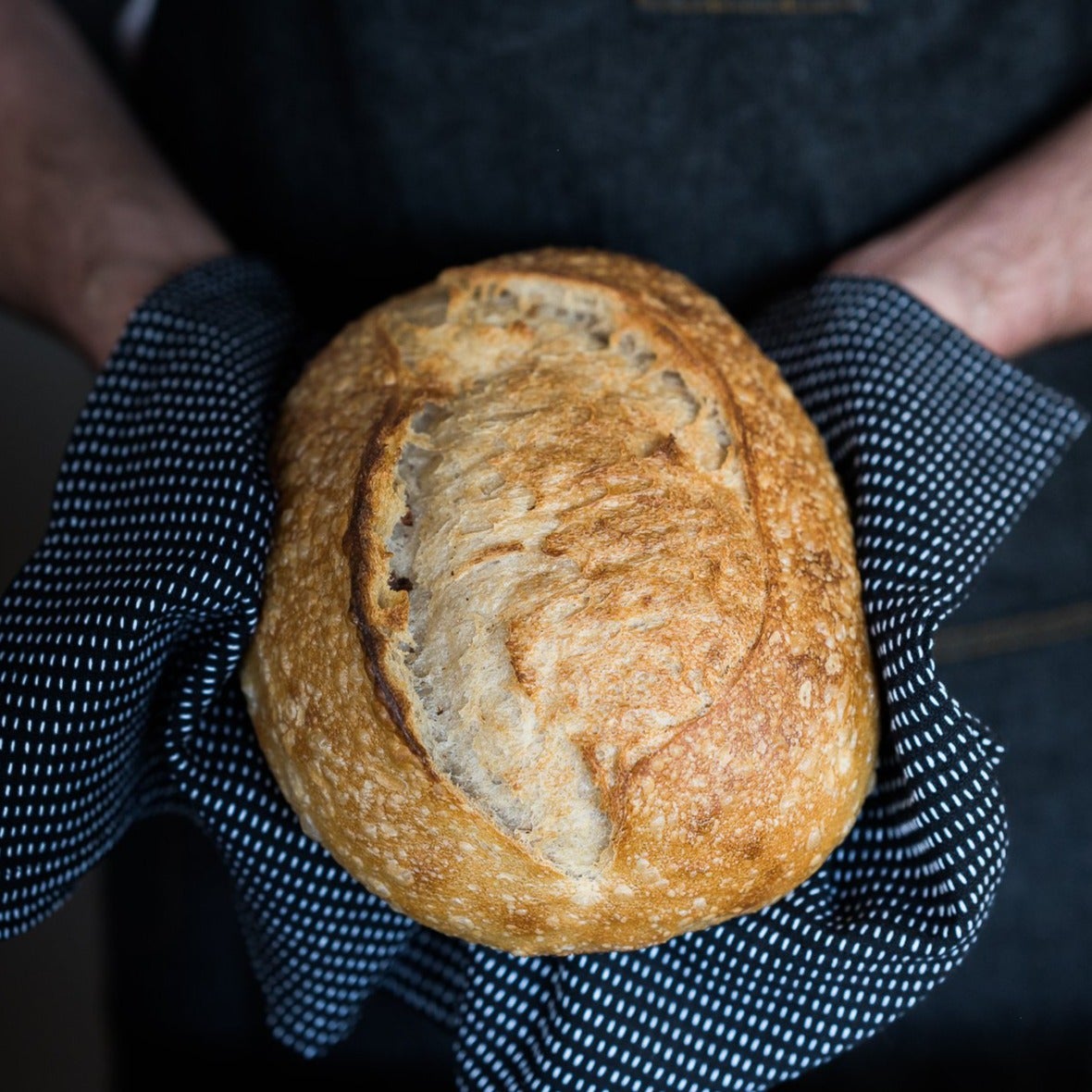 Sourdough Country Loaf FRIDAY Delivery 3996 – Bearded Baker of Inverloch